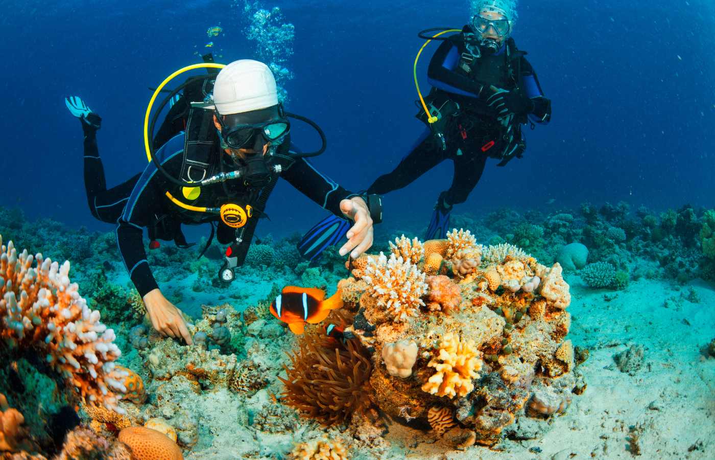 Tips to Become a Responsible Scuba Diver - Bermuda Blog
